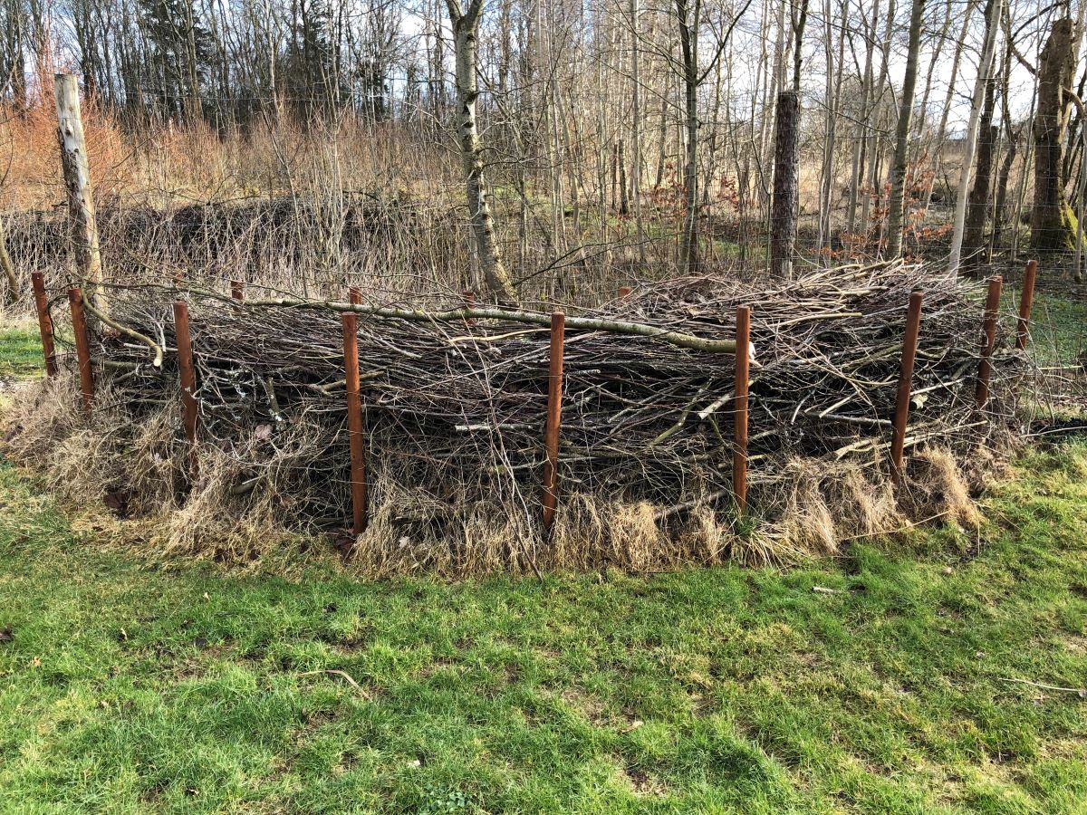Forsøgshaven i Tarm - Plantejournalen